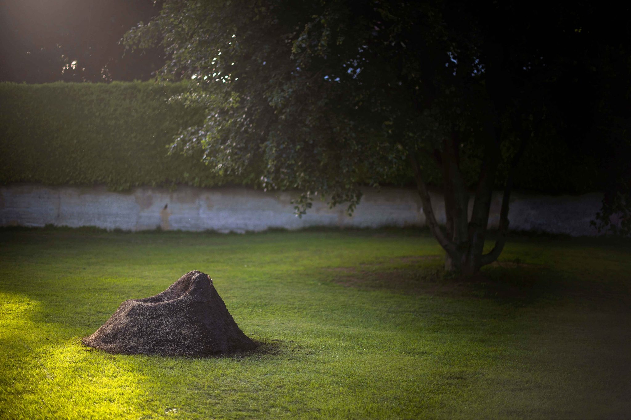 TERRA! // Studio Nucleo