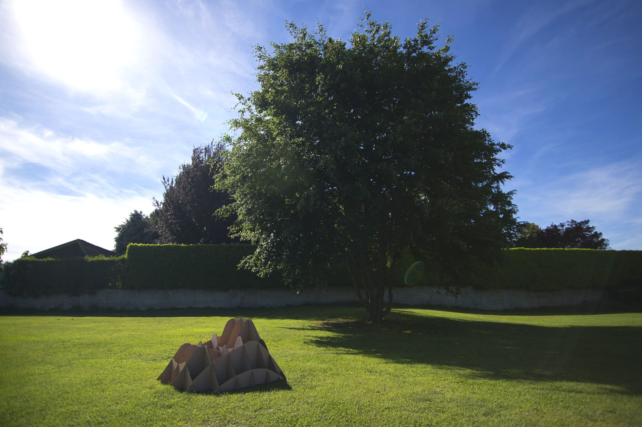 TERRA! // Studio Nucleo